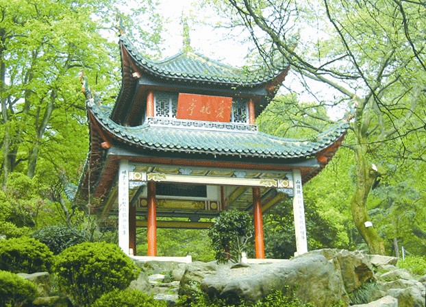 Card 卡片组件 | JadeUI